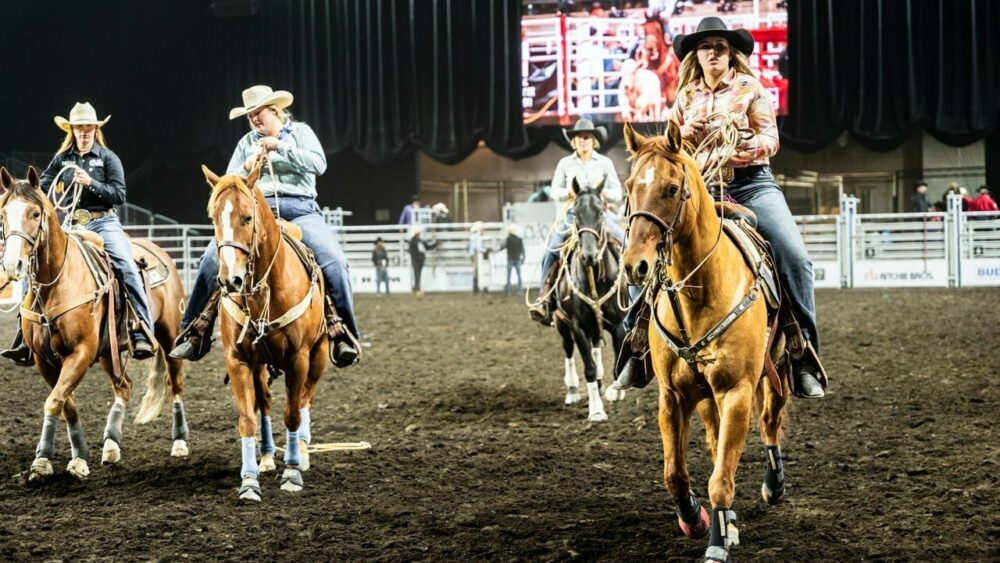 We are YEG | Explore Edmonton