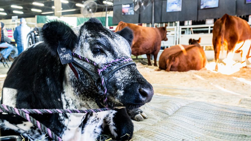 Volunteer | Explore Edmonton