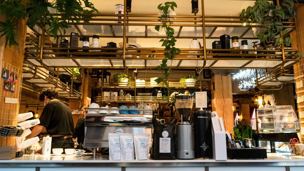 Best Coffee Shops for Studying in Edmonton | Explore Edmonton