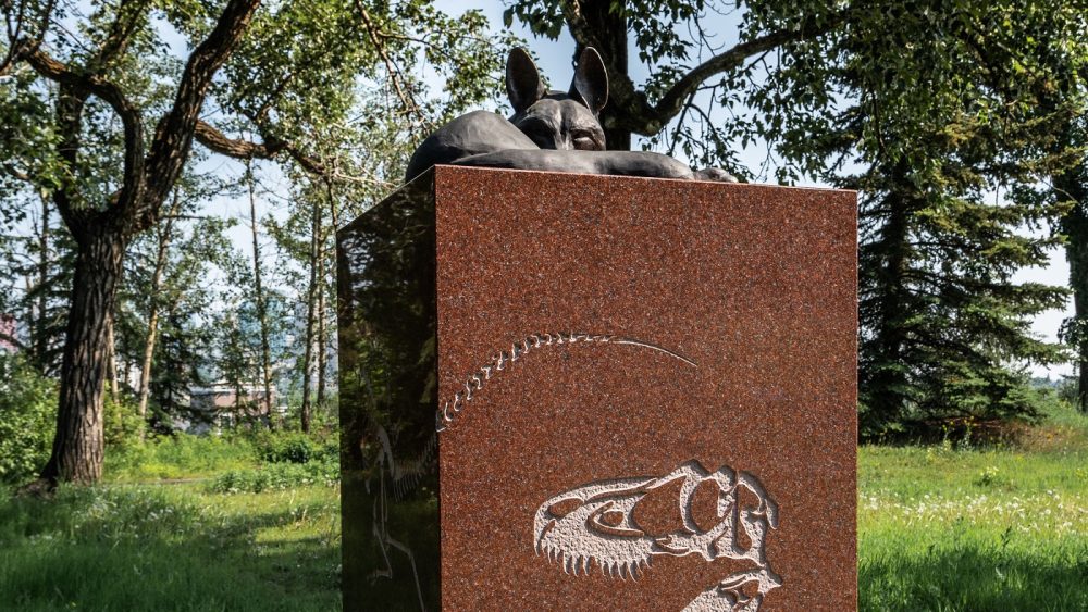 Guide to Exploring ᐄᓃᐤ (ÎNÎW) River Lot 11∞ | Explore Edmonton