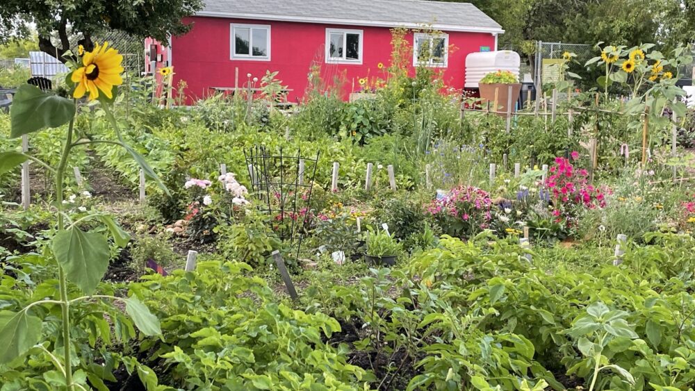 Sustainable Travel in Edmonton | Explore Edmonton