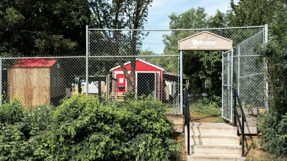 The Power of Connection and Community at the Urban Farm | Explore Edmonton