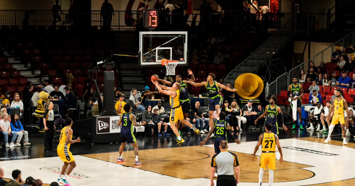 Edmonton Stingers VS Ottawa BlackJacks | Explore Edmonton