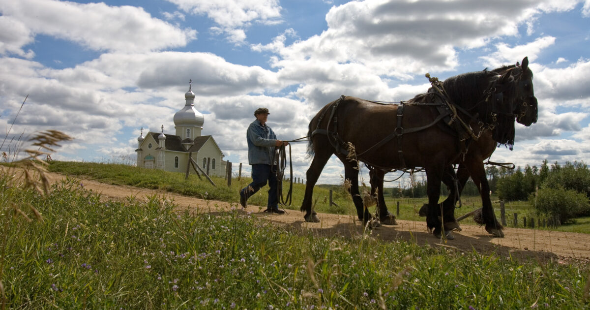 Ukrainian Village Music Festival | July 2024 | Explore Edmonton
