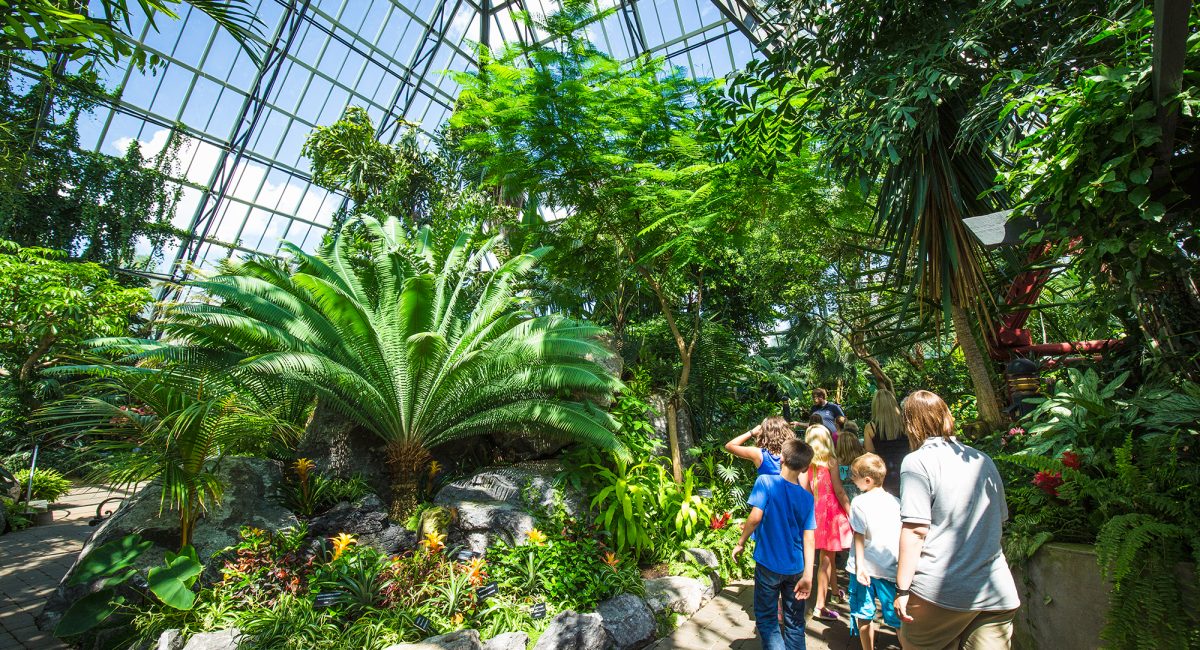 Muttart Conservatory | Explore Edmonton