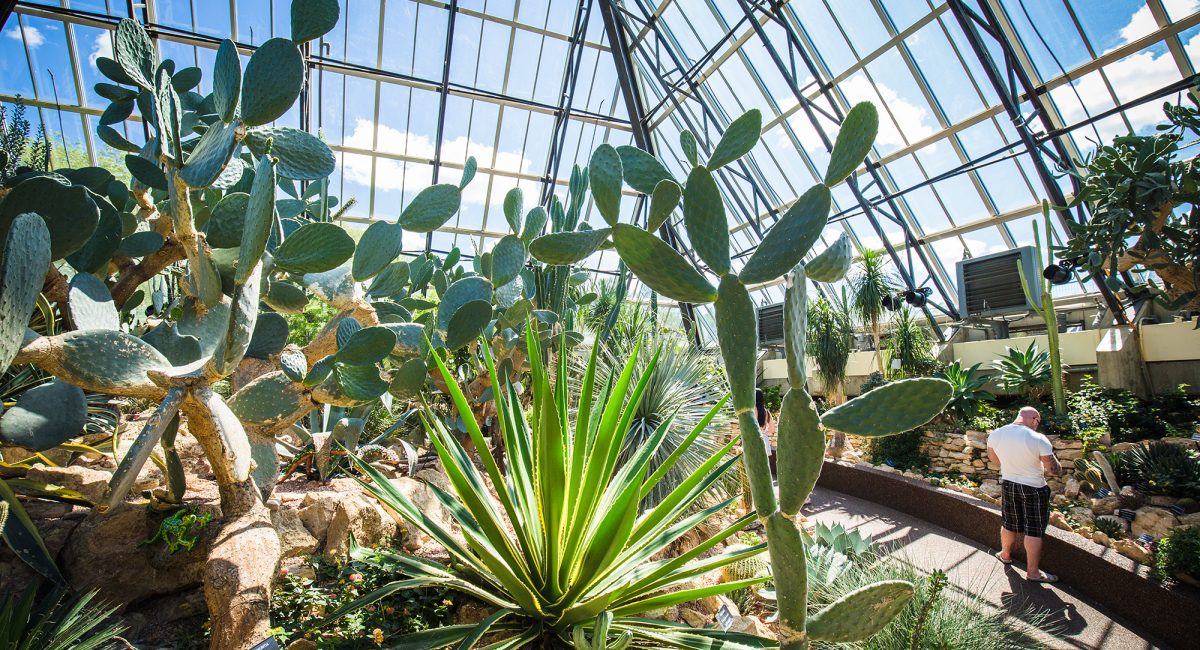 Muttart Conservatory | Explore Edmonton