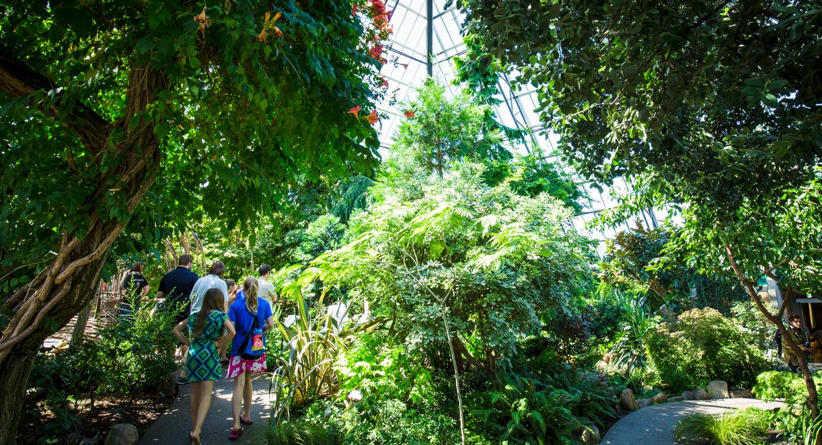 Muttart Conservatory | Explore Edmonton