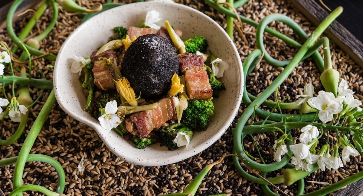 The Butternut Tree | Explore Edmonton