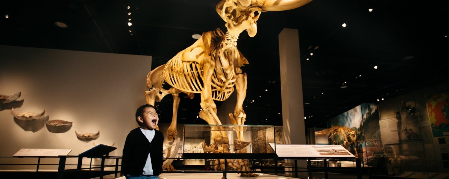 Plan your visit to Edmonton's Royal Alberta Museum | Explore Edmonton