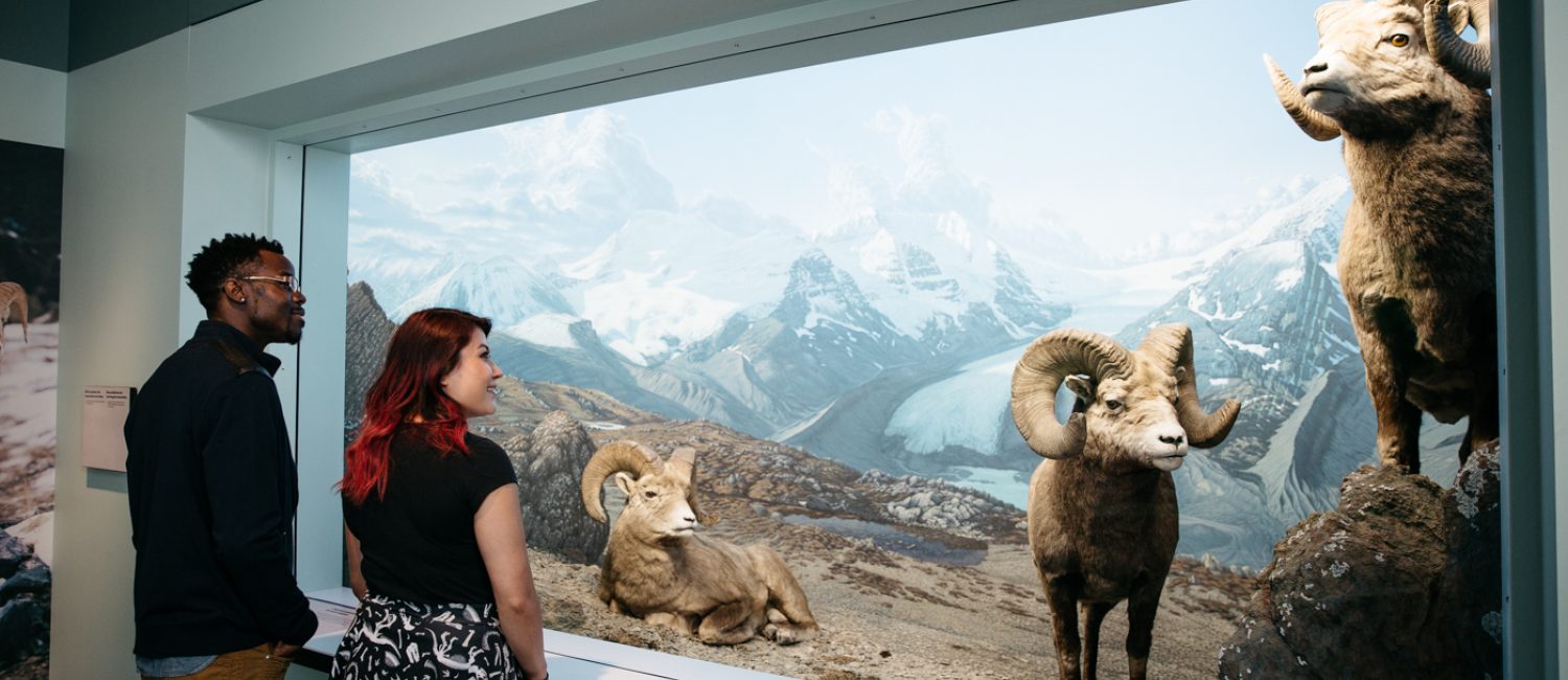 Royal Alberta Museum | Explore Edmonton