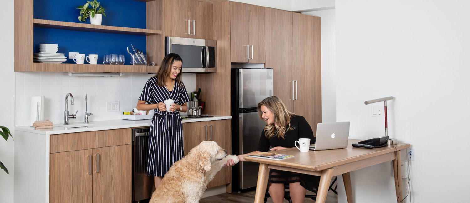 Element Edmonton West | Explore Edmonton | Explore Edmonton