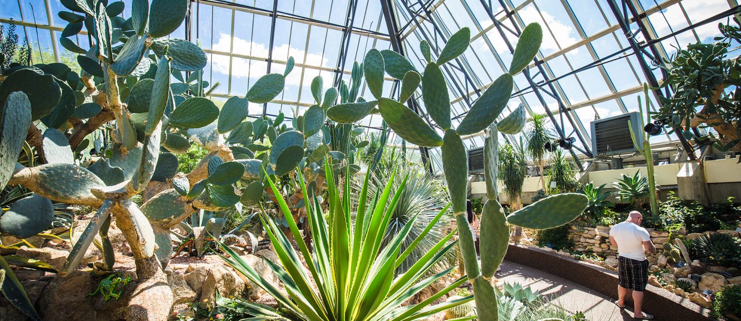 Muttart Conservatory | Explore Edmonton