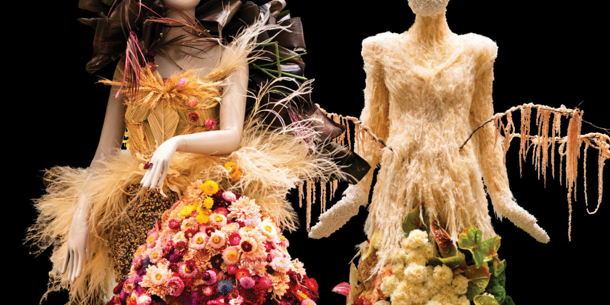 Fleurs de Villes ARTISTE at the Muttart Conservatory | September 2025 ...