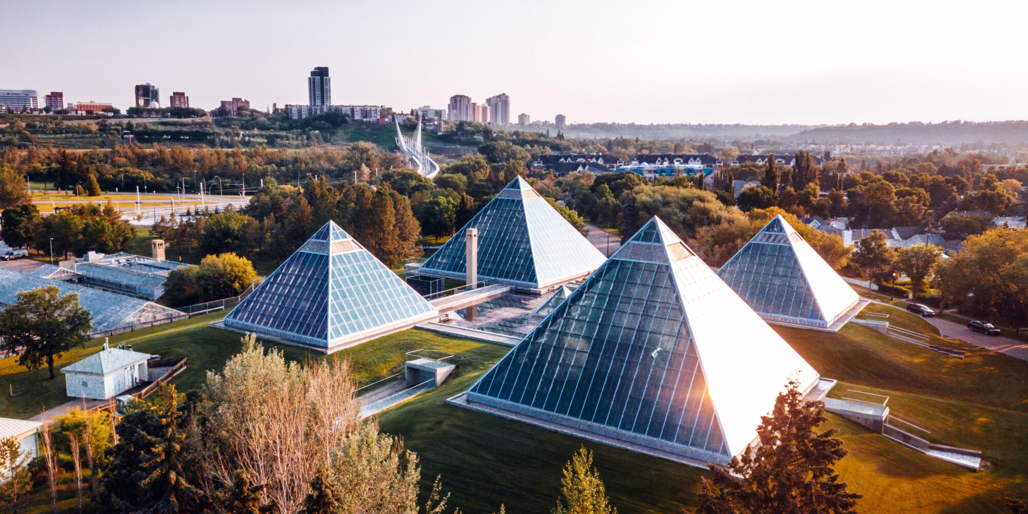 Frogs and Friends at the Muttart | Explore Edmonton