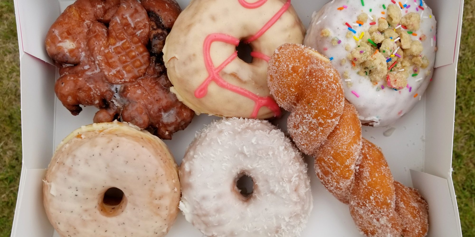 Doughnut Party | Explore Edmonton