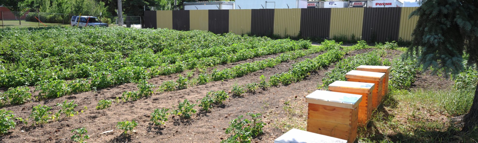 Edmonton Urban Farm - Sponsor Us | Explore Edmonton