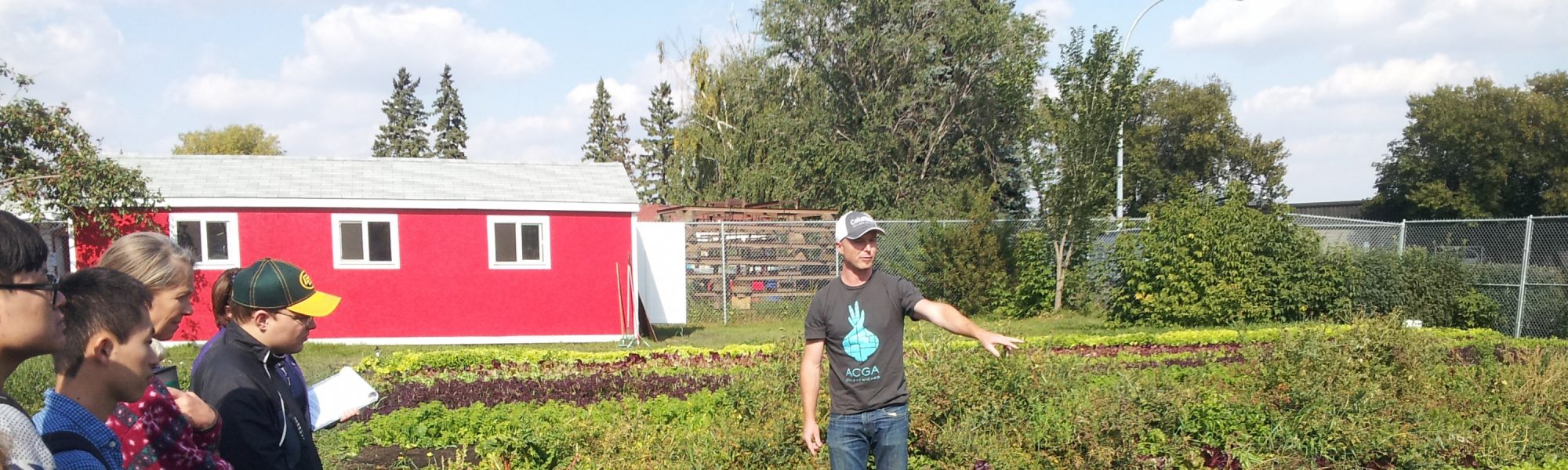 Why Volunteer? | Explore Edmonton