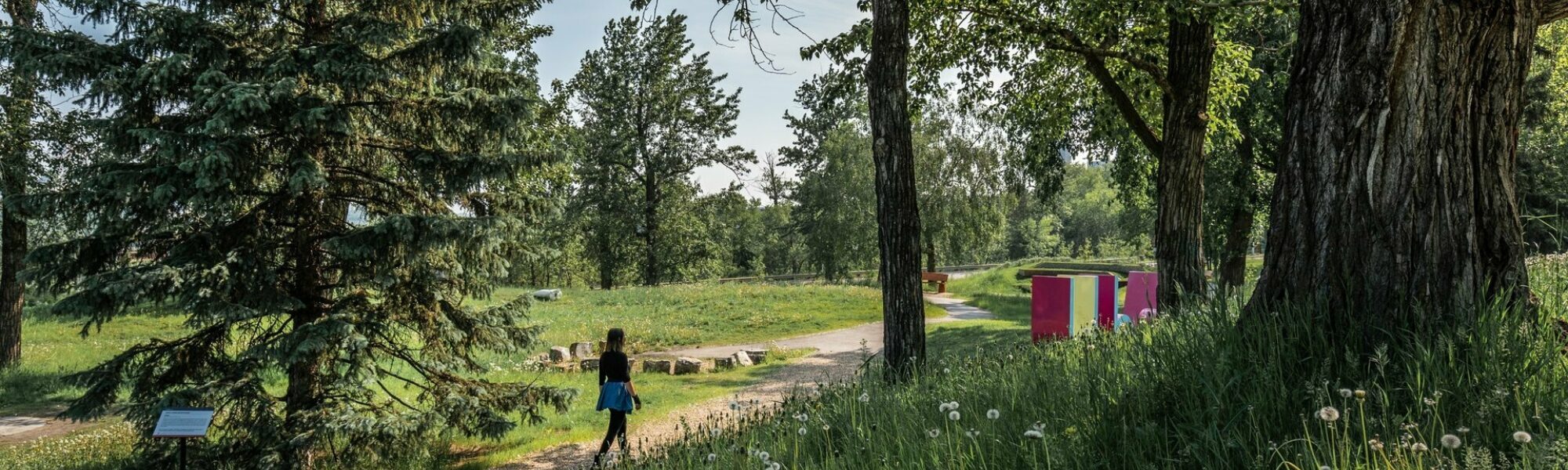 5 Trails in Edmonton to Try This Summer | Explore Edmonton