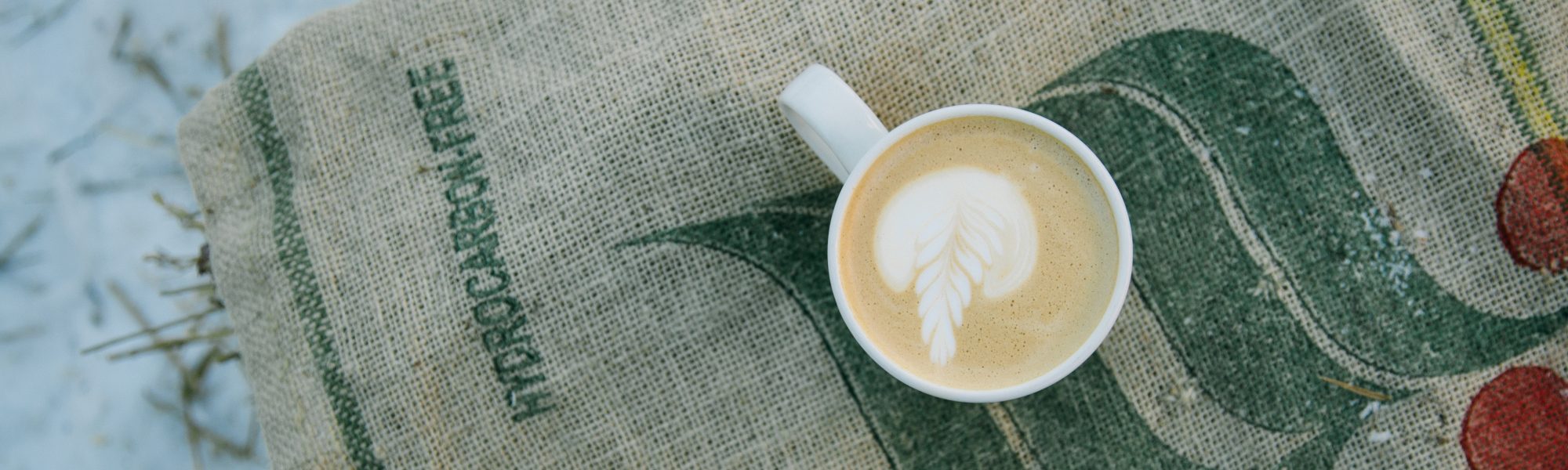 Edmonton's Best Indie Coffee Shops | Explore Edmonton