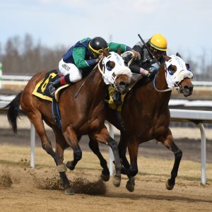 Attractions and Experiences | Explore Edmonton