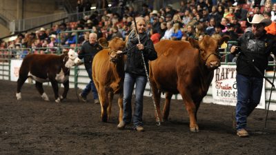 Edmonton: Canada's Festival City | Explore Edmonton