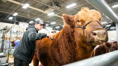 Edmonton: Canada's Festival City | Explore Edmonton