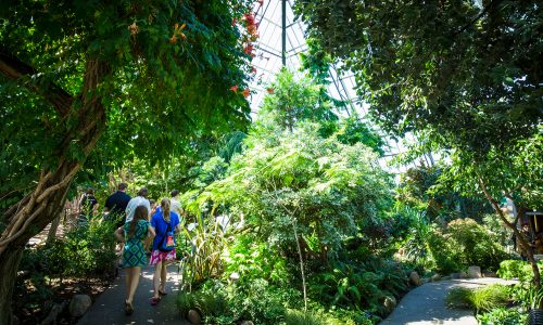 Muttart Conservatory | Explore Edmonton