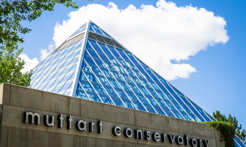 Muttart Conservatory | Explore Edmonton