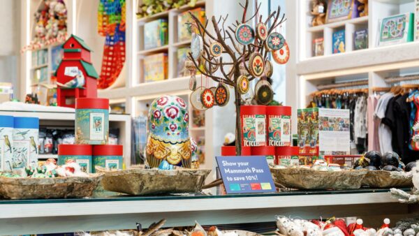 Your Local Holiday Gift Guide | Explore Edmonton
