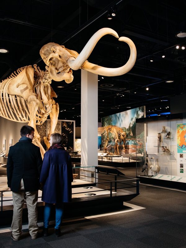 Visit Edmonton | Explore Edmonton