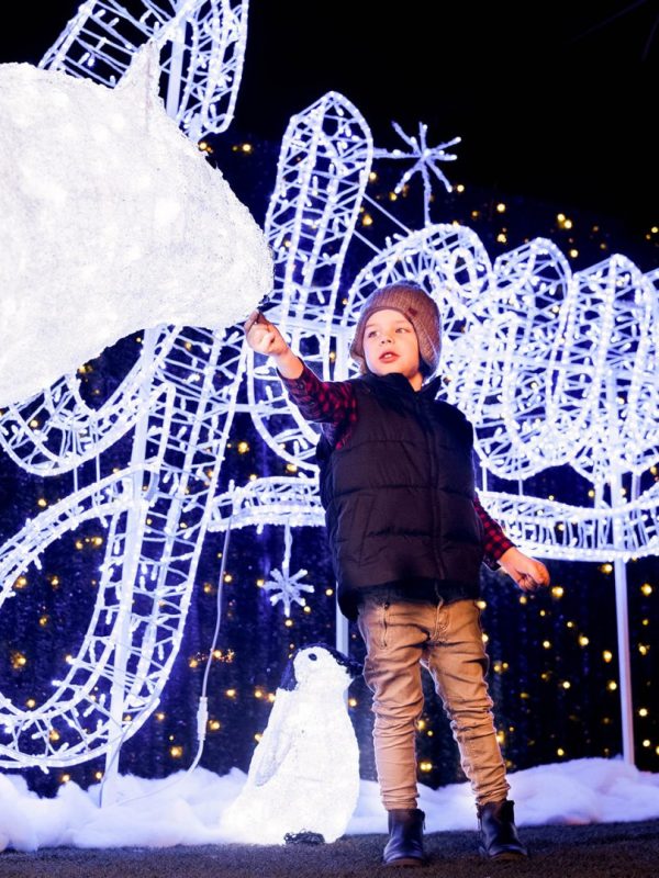 Festivals | Explore Edmonton