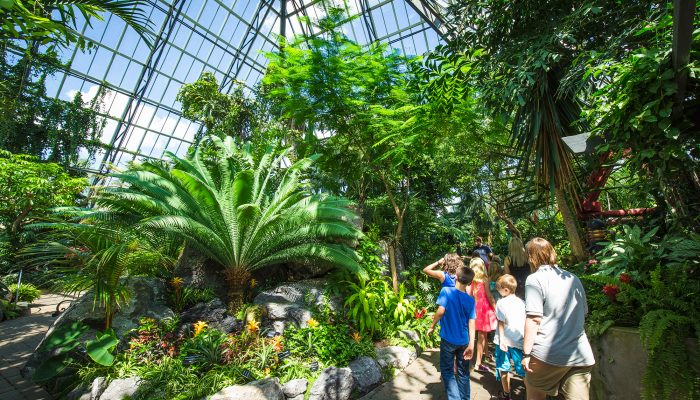 Muttart Conservatory | Explore Edmonton