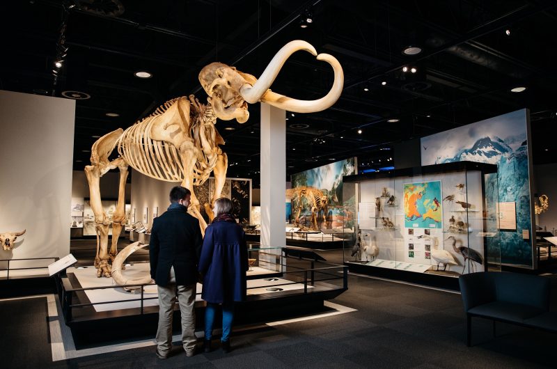 Visit Edmonton | Explore Edmonton