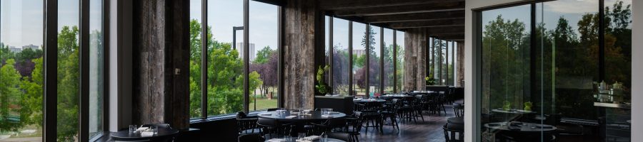 The Butternut Tree | Explore Edmonton