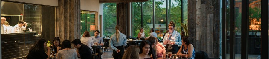 The Butternut Tree | Explore Edmonton | Explore Edmonton