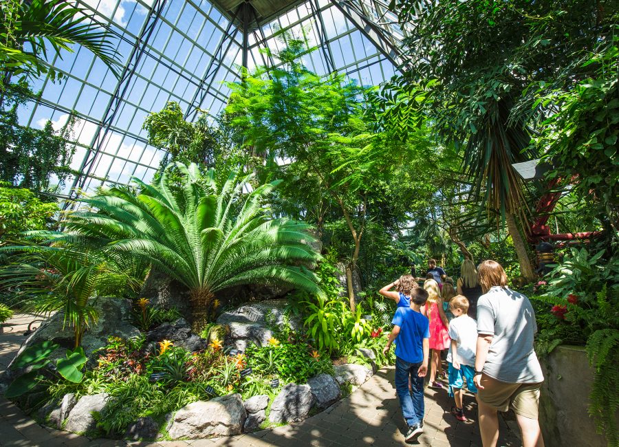 Muttart Conservatory | Explore Edmonton