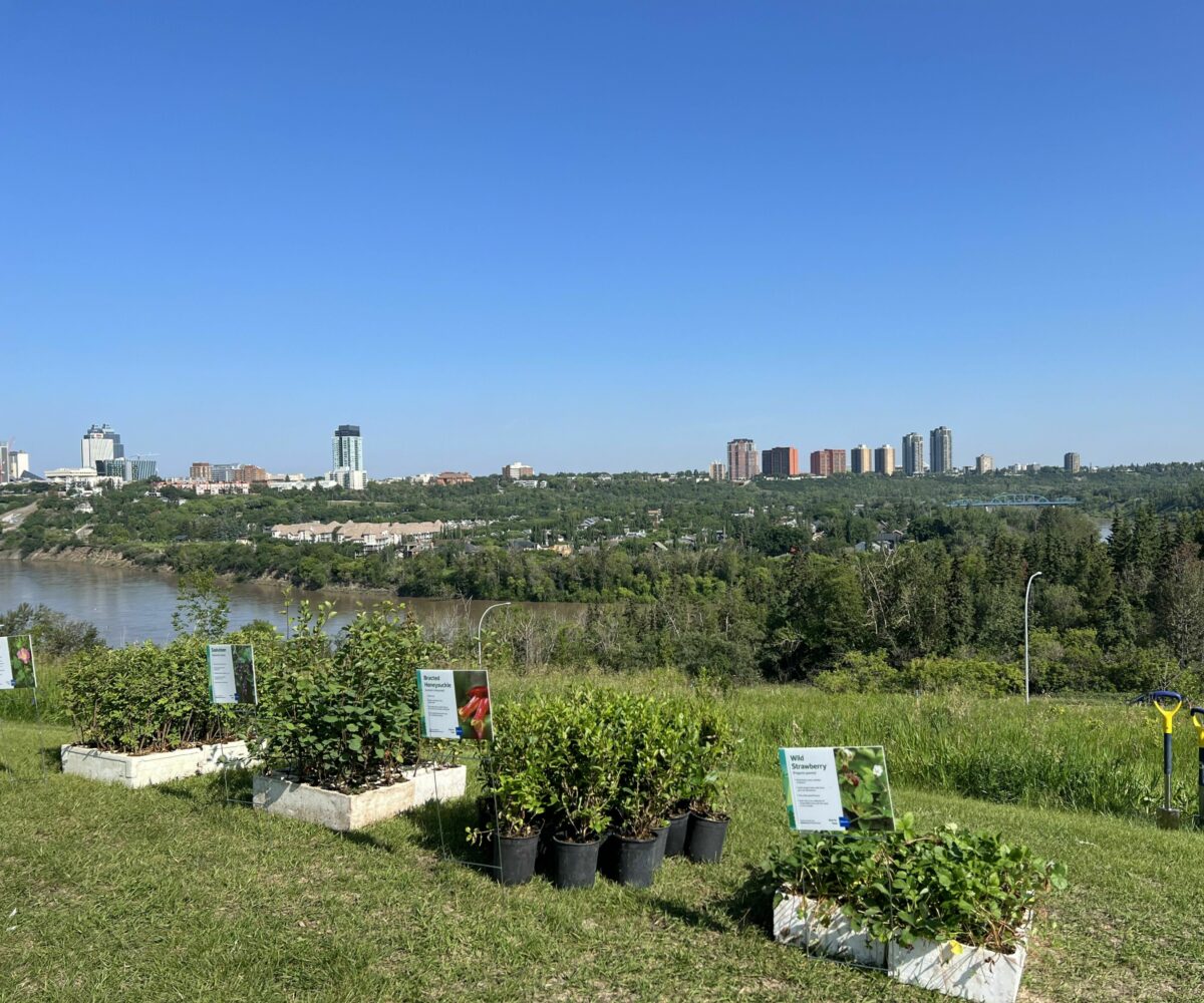 Outdoor Adventure | Explore Edmonton