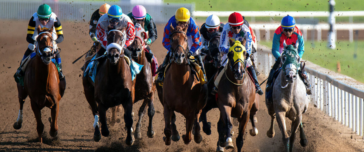 Century Mile Racetrack and Casino | Explore Edmonton