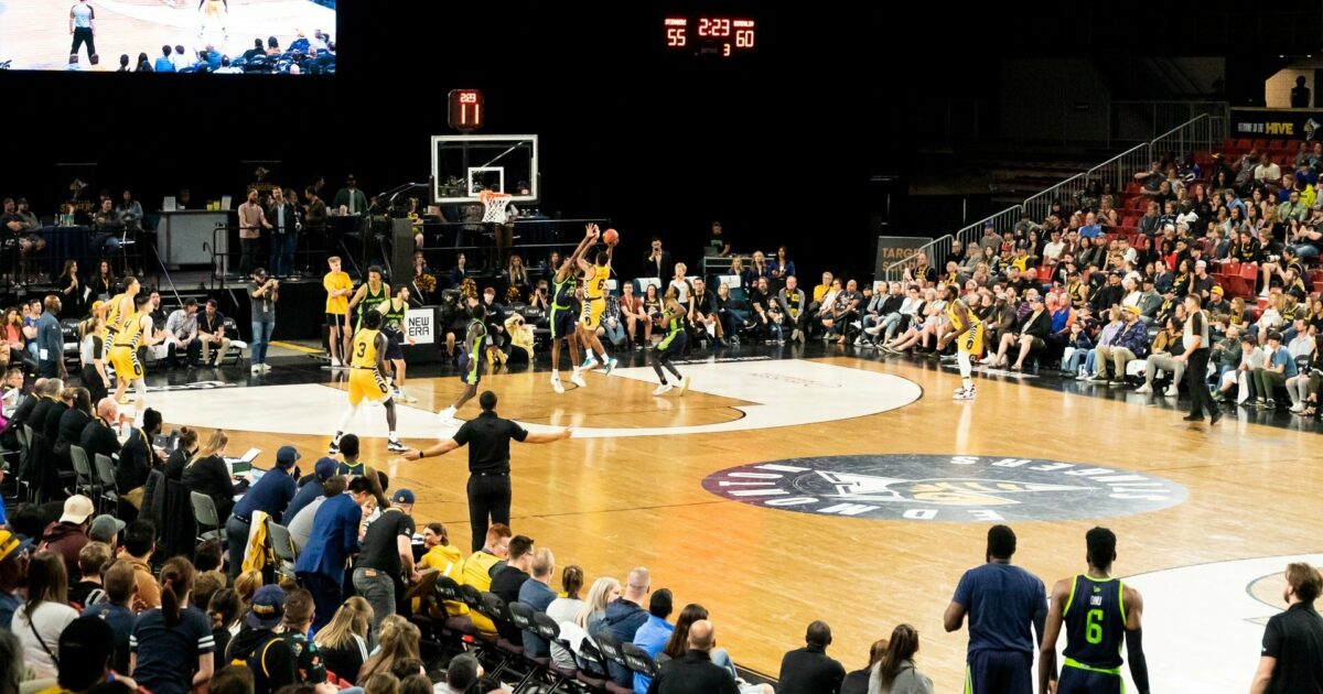 Edmonton Stingers Contest | Explore Edmonton Edmonton Stingers Contest | Explore Edmonton