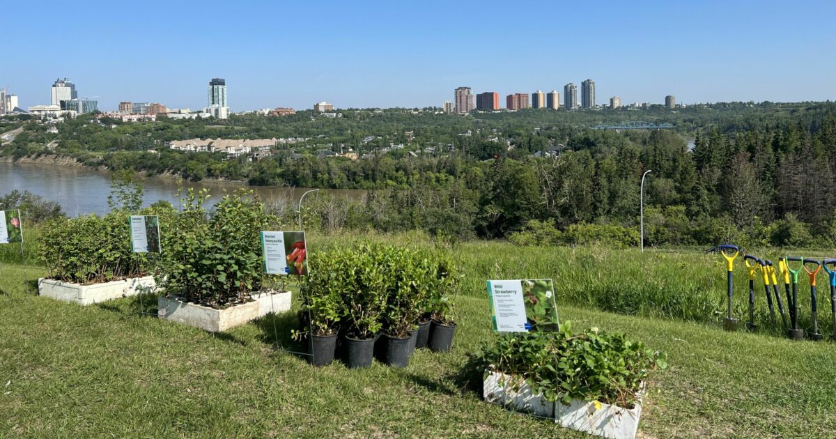 Roots for Trees | Explore Edmonton