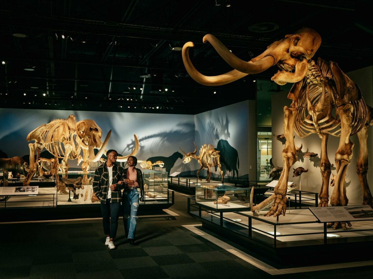Plan your visit to Edmonton's Royal Alberta Museum | Explore Edmonton