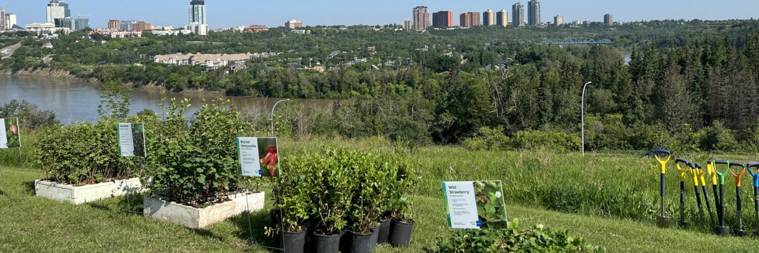 Roots for Trees | Explore Edmonton