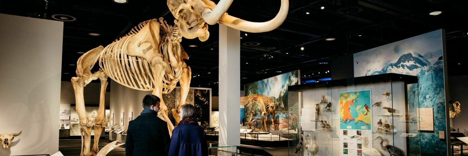 Visit the RAM for Free This Family Day | February 2025 | Explore Edmonton