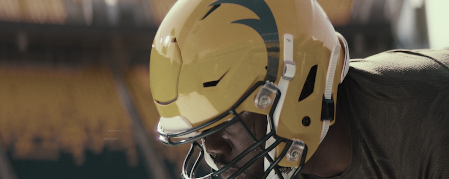 Guide to the Edmonton Elks & Canadian Football | Explore Edmonton