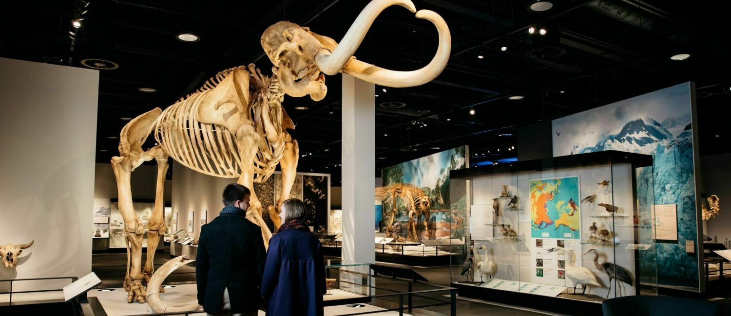 Top 10 Reasons to Visit Edmonton, a Top 10 City | Explore Edmonton