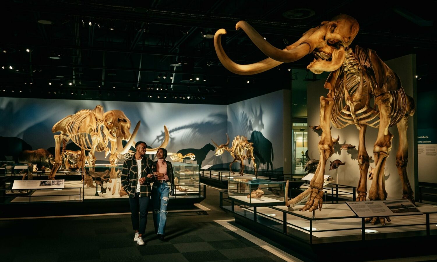 Plan your visit to Edmonton's Royal Alberta Museum | Explore Edmonton