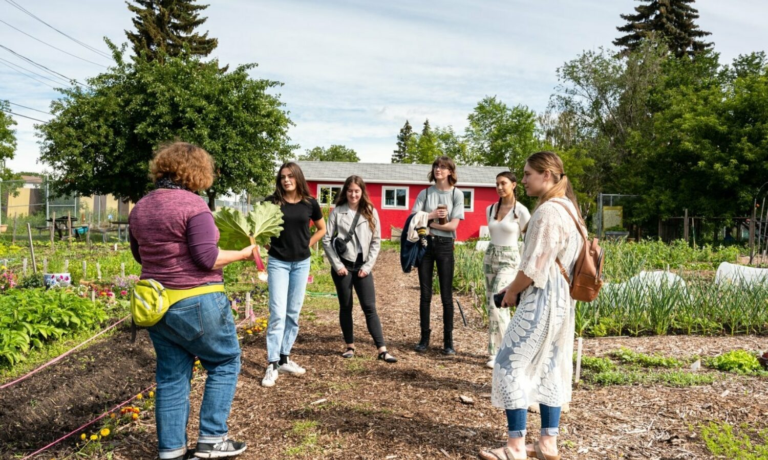 Edmonton Urban Farm - Bring your Students | Explore Edmonton