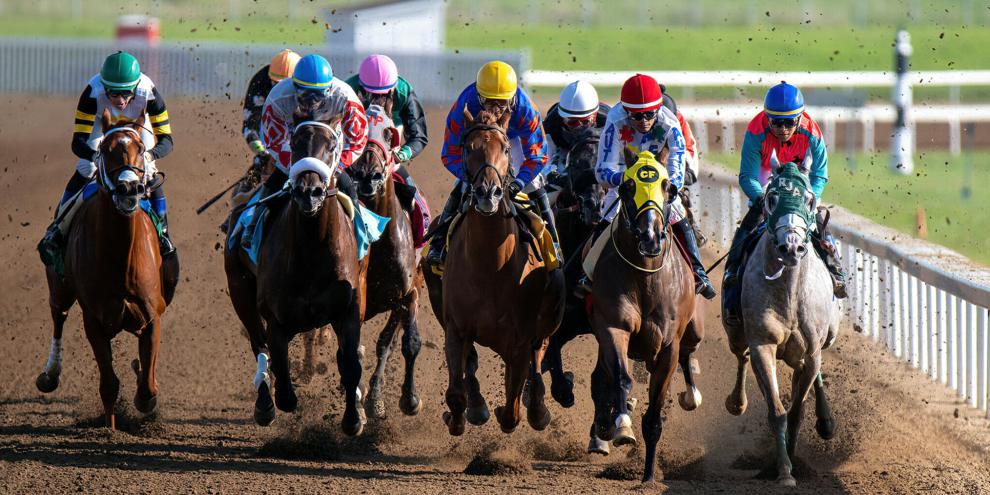 Century Mile Racetrack and Casino | Explore Edmonton