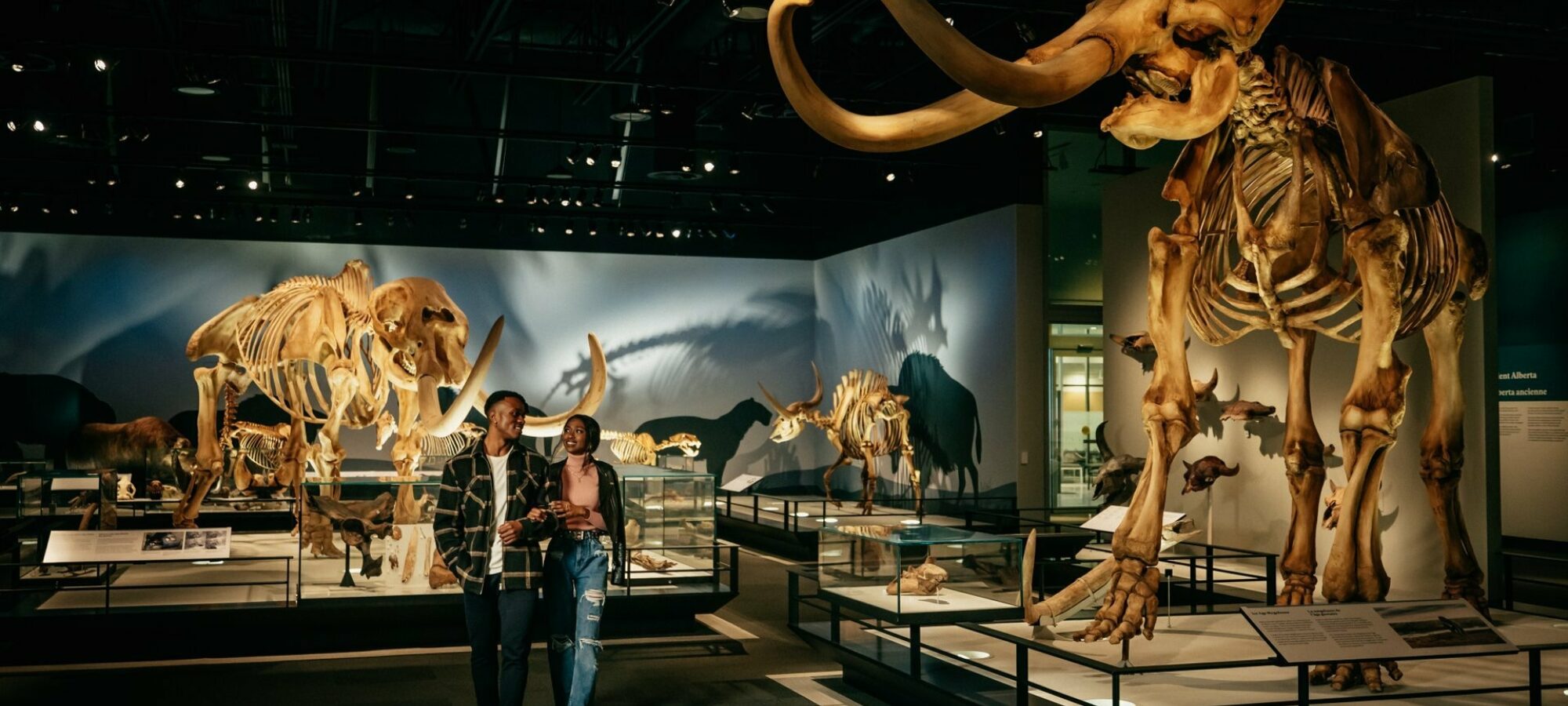 Plan your visit to Edmonton's Royal Alberta Museum | Explore Edmonton