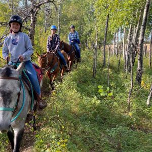 Attractions and Experiences | Explore Edmonton